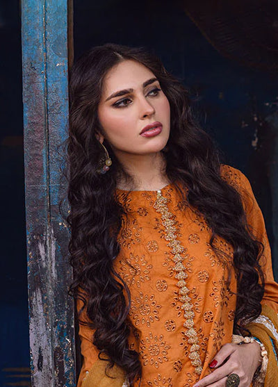 Sahakari Chikankari Lawn – Sahane Store